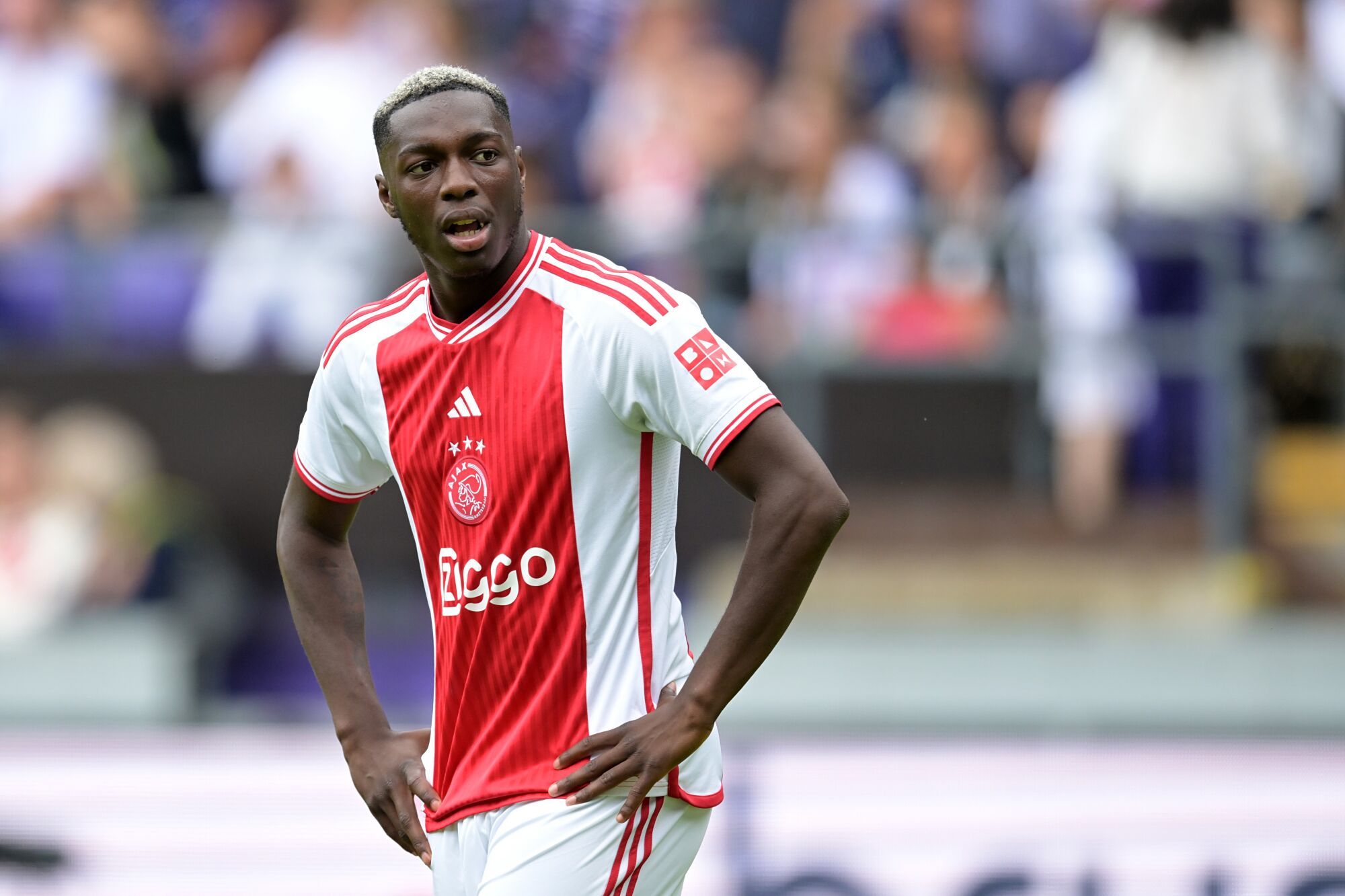 Stade de Reims : Cette pépite de l'Ajax Amsterdam est en route - Sport.fr