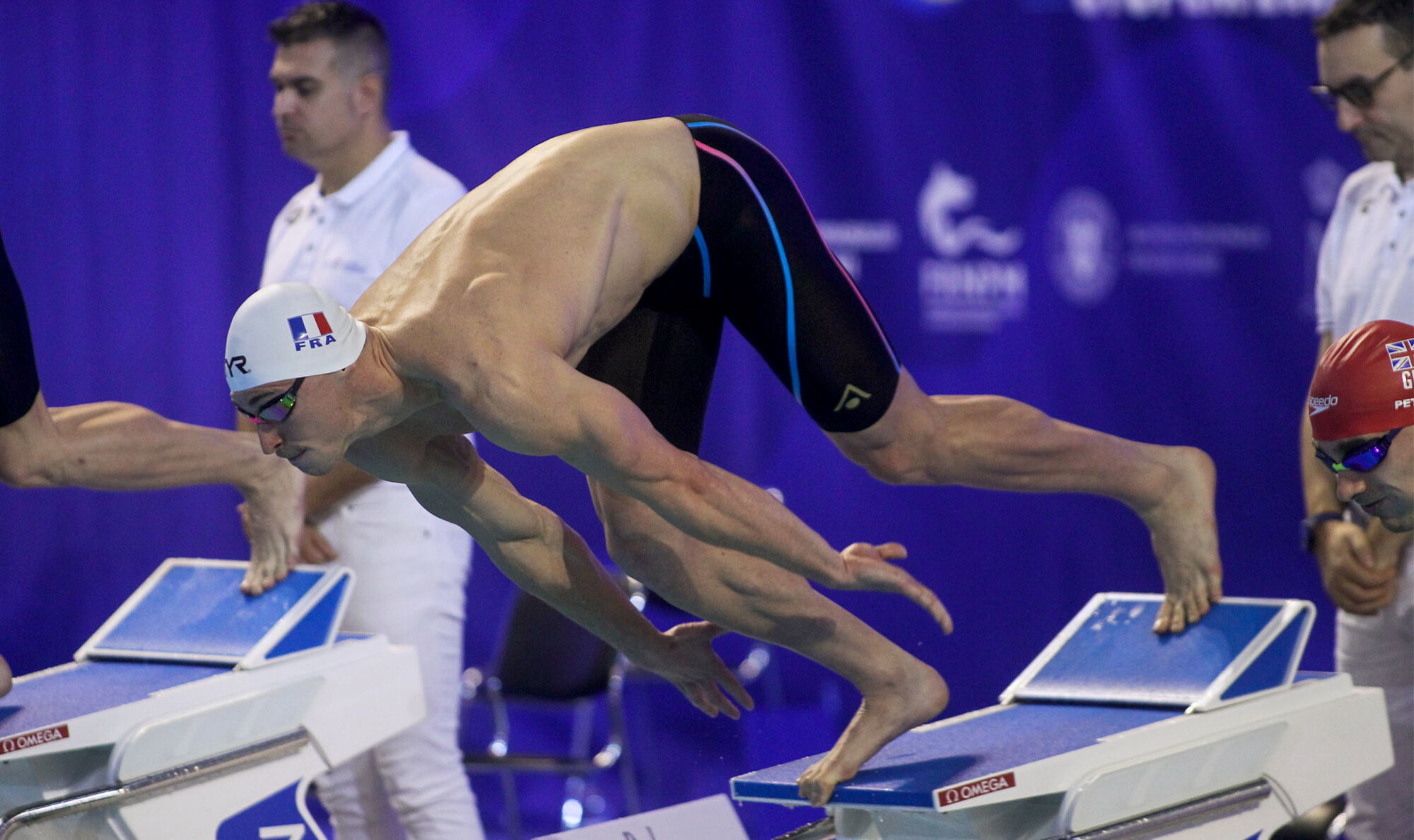 Euro en petit bassin : une médaille pour Grousset - Sport.fr