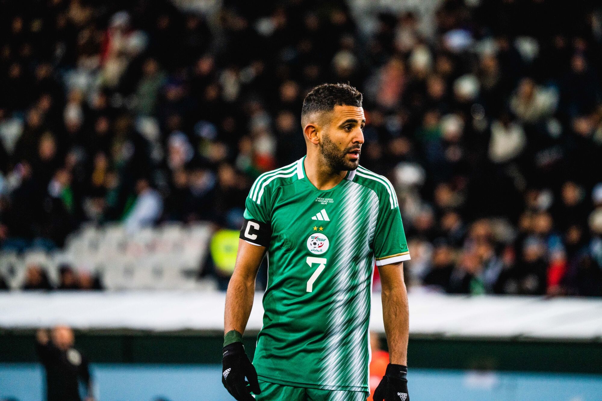 CAN 2024 - Algérie-Angola : les compos probables avec Mahrez, Bennacer ...