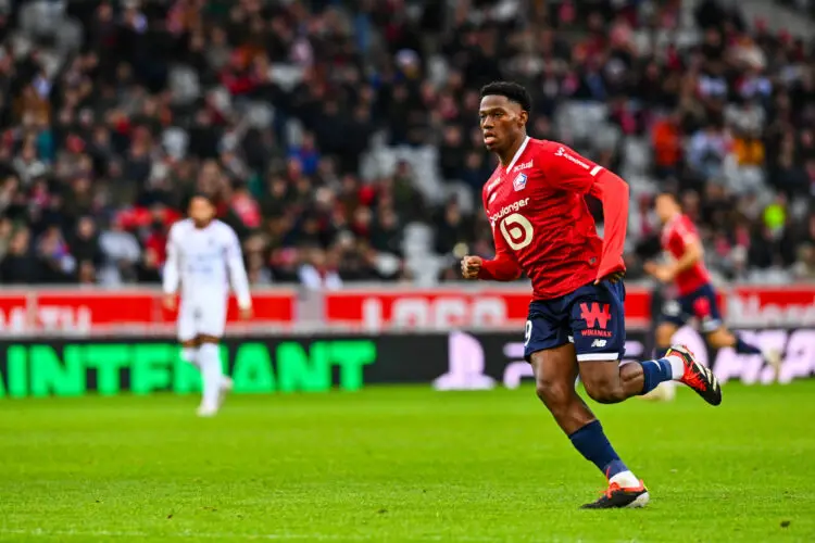 LOSC : le remplaçant de Jonathan David arrive du Stade Rennais ? - Sport.fr