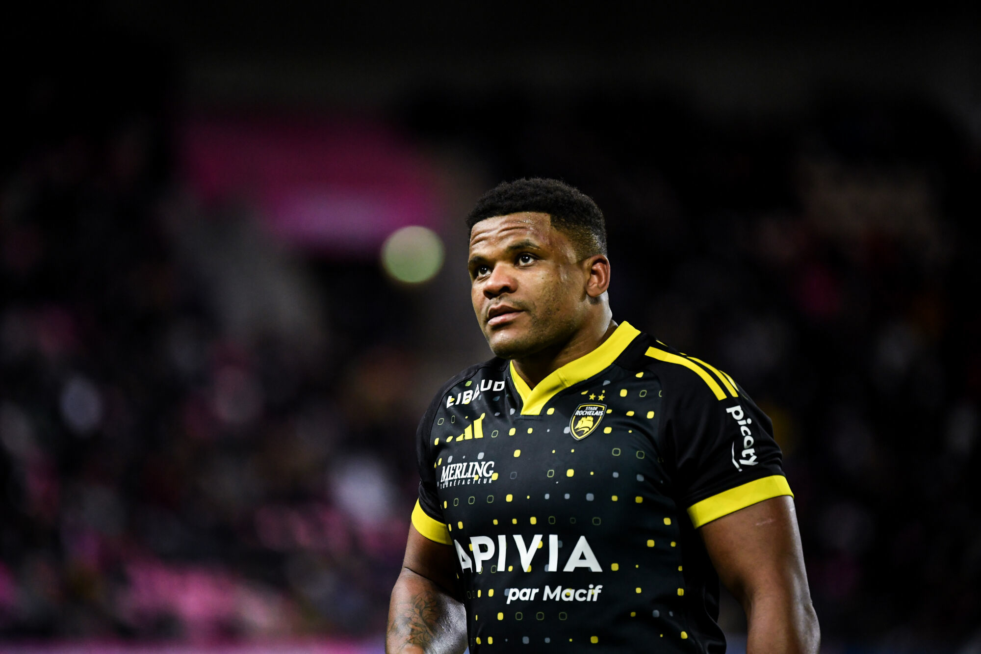 Jonathan Danty pourrait jouer en Coupe des champions avec La Rochelle ...